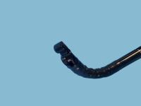 China Olympus GF-UCT240-AL5 Ultrasonic Gastrovideoscope 12.6mm 125cm Convex Array for sale
