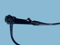 China CF-HQ290L High Definition Flexible Videocolonoscope Dual Focus 1680mm Working Length 3.7mm Channel for sale