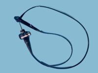 China Olympus BF-P180 Video Bronchoscope 120 Deg 60cm Length 4.9mm Ultra-Slim Ergonomic Handle for sale