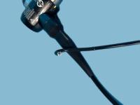 China BF-P150 Bronchoscope Flexible Scope 180 Degree with 2.0mm Instrument Channel 5.4mm for sale