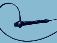 China BF-P190 Video Bronchoscope with 120° Field of View and 600mm Working Length for Pulmonary Procedures for sale