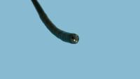 China PCF-Q260JI Medical Colonoscope 140 Deg Wide View 10.5mm OD 3.2mm Channel for sale