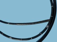 China PCF-PH190L Delivers Highest Possible Resolution And Image Quality Medical Endoscope for sale