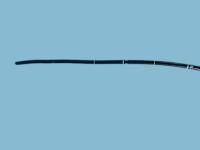 China Olympus GIF-XP190N Super-Slim Video Gastroscope 5.8mm 110cm Working Length for sale