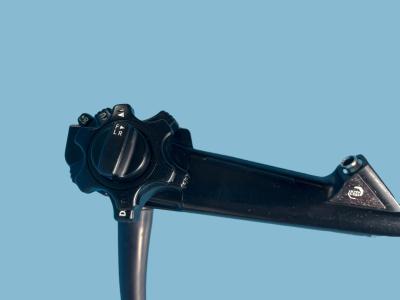 China EG-590WR Video Gastroscope Flexible Scope 140° Field of View 9.3mm Insertion Tube for sale