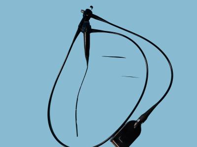 China Olympus ENF-V3 Video Nasal Endoscope 2.9mm Insertion Tube 300mm Working Length 130 Degree Angulation for sale