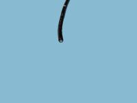 China Olympus ENF-GP2 Rhino-Laryngoscope 4mm 300mm Flexible Endoscope for ENT Diagnosis for sale
