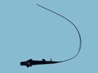 China Olympus URF-P7 Uretero-renoscope Fiberscope 7.95 Fr 1050 mm Flexible Endoscope for sale
