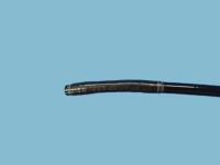 China Olympus GIF-H290Z Video Gastroscope HD Imaging 9.8mm NBI WCE Upper GI Endoscopy for sale