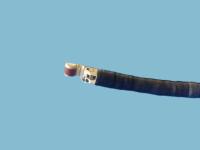 China Olympus GF-UCT260 Endoscopic Ultrasound EUS Videoscope 12.6mm 1250mm for sale