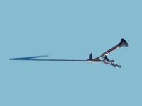 China 8703.534 Rigid Ureterorenoscope Working Length  430 Mm for sale