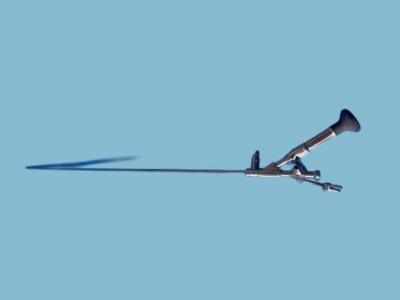 China 8703.534 Rigid Ureterorenoscope Working Length  430 Mm for sale