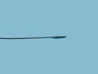 China Olympus UM-S20-17S 20MHz Radial Endoscopic Ultrasound Probe 1.4mm for sale