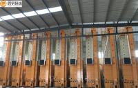 China 15 Tons per Batch Cross Flow Type Paddy Dryer Machine 12T Capacity 380V 50Hz for sale