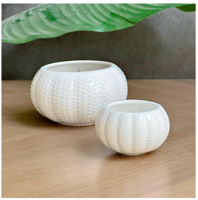 China sea urchin shaped Ceramic bowl Ceramic tableware for family hotels, made of high-quality ceramics, fashionable household items for sale