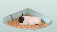 China Pet summer green sofa , comfortable and soft, for home use, increase pet interaction for sale