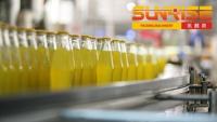 China Glass Bottle Beverage Filling Machine (containing gas) for sale