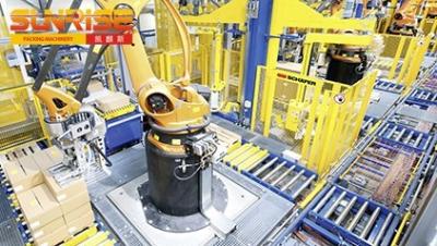 China Palletizing and Depalletizing Robot Solutions for sale