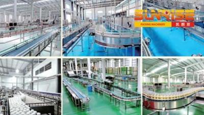 China Drink Chain Conveyor for sale