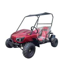 China Unleash the Power of 1200W Brushless Differential Motor Dune Buggy Go Kart Buggy 2 Seats for sale