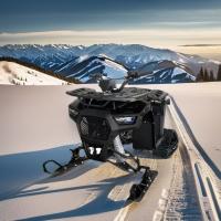China Mini Snowmobiles 125cc 150cc Snowmobiles with Electric Start and Chain Transmission for sale
