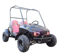 China Shaft Transmission 1000W Electric Go Kart 2 Seat 60V Buggy for Teenager for sale