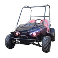 China Shaft Transmission 1000W Electric Go Kart 2 Seat 60V Buggy for Teenager for sale