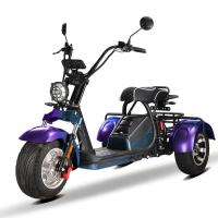 China Unisex 2000w Citycoco Electric Scooter with 3 Wheels and 60-80km Range Per Charge for sale