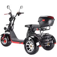 China Citycoco 3 Wheel Electric Scooter 3000w 2000 Watt Citycoco Two Seater Wide Wheel Road for sale