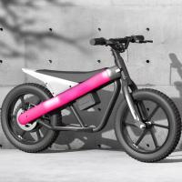 China 16inch Children Electric Balance Bike with Steel Frame and Titanium Rim Material for sale