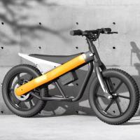 China 16inch Children Electric Balance Bike with Steel Frame and Titanium Rim Material for sale