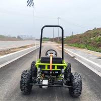 China 1000W Powerful Motors Electric Karts for Adults 2024 Model and High Grade Ability for sale