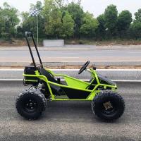 China 1000W Powerful Motors Electric Karts for Adults 2024 Model and High Grade Ability for sale