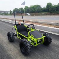 China 1000W Powerful Motors Electric Karts for Adults 2024 Model and High Grade Ability for sale