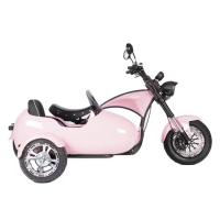 China Electric Sidecar Motorcycle with Pet Carrier 1000W-3000W 60-80km Range 41-50km/h Max Speed for sale