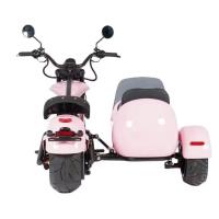 China Electric Sidecar Motorcycle with Pet Carrier 1000W-3000W 60-80km Range 41-50km/h Max Speed for sale