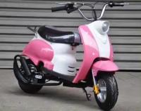 China 40 60km/h Max. Speed DISC Brake 49cc Two-Stroke Gasoline Powered Children's Pit Bike Mini Teen Motorcycle for sale