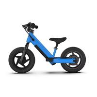 China 2024 AOTONG MOTOR Electric 2 Wheel Balance Scooter with Disc Brake and 16