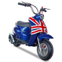 China Experience the Power of a 49cc Engine DISC Brake Pocket Bike Mini Motorcycles in 2024 for sale