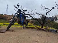 China Electric Bike Motorcycles with High Speed Max. Speed 80km/h FRONT AND REAR DISC BRAKE for sale