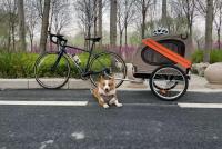 China Child Stroller Carrier Bike Trailer Pet Outdoor Camping Trailer with Front 14