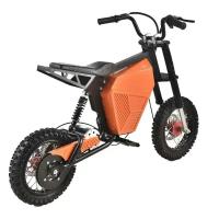 China 500W Motor Power Kids Electric Bike with Customized Color Personalization for sale