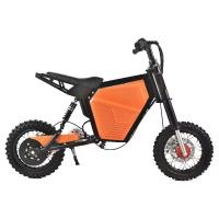 China 500W Motor Power Kids Electric Bike with Customized Color Personalization for sale