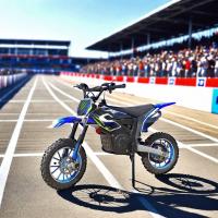 China 1200W Electric Dirt Bike with Stickers and Max. Speed 40 60km/h Off-Road Motorcycles for sale