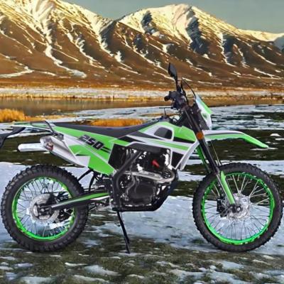 China 250cc Engine Customized Colors Supported Off-Road Gasoline Dirt Bike for Adults for sale