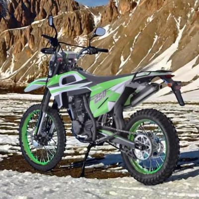 China 200-400CC Displacement Off Road Dirt Bike Motorcycles with Customizable Color Choices for sale