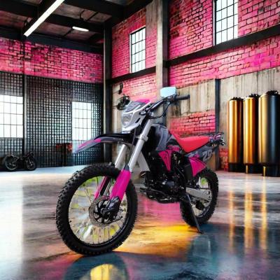 China Take Your Off-Road Riding to the Next Level with Our 250cc Moto Racing Dirt Bike for sale