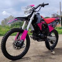 China Customized Supported 250cc Gas Motorcycle Dirt Bike for Adult Off-road Motocross for sale