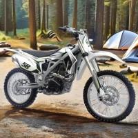 China Customized Supported 250cc Dirt Bike Enduro Motorcycle with 200-400CC Displacement for sale
