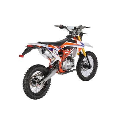 China Eletric Start 140cc 190cc Motocross Dirt Bike Motorcycle 4 Stroke Steel Body Brushless Motor for sale